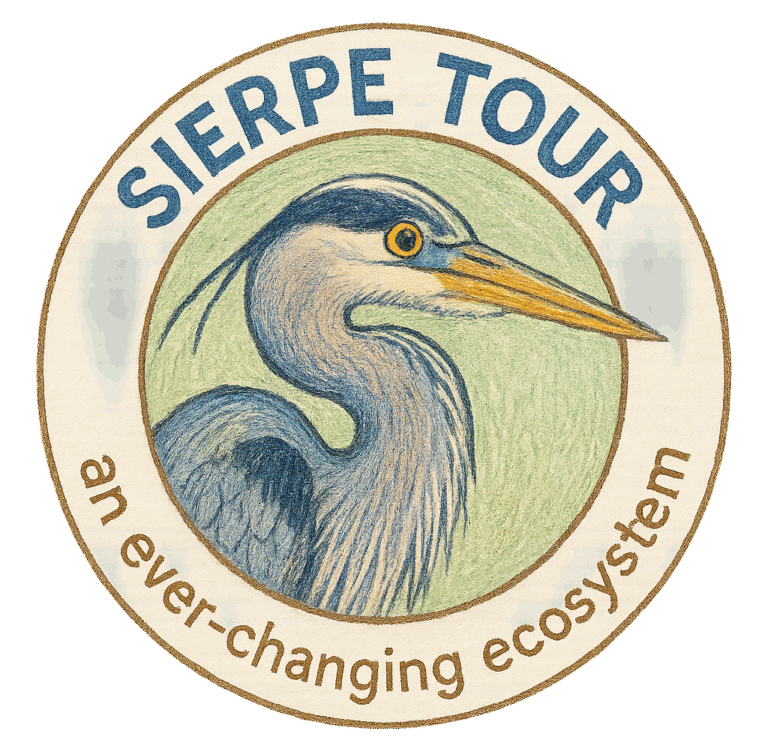 Home Contact Us Sierpe River Mangrove Tours